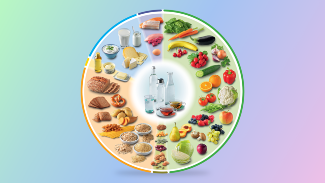 DGE - Deutsche Gesellschaft für Ernährung e.V. | DGE