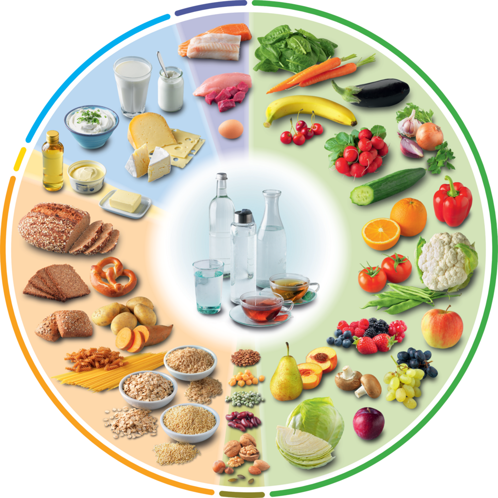 Food-Based Dietary Guidelines for Germany | DGE